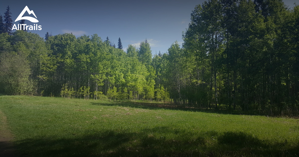 Best hikes and trails in Moore's Meadow Park | AllTrails