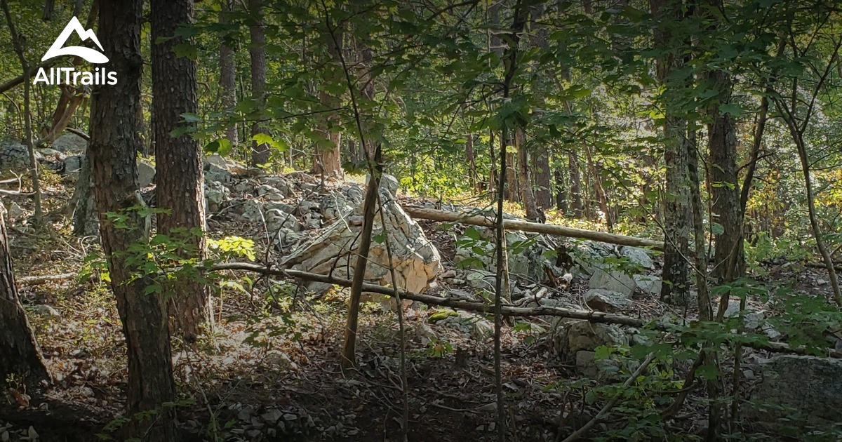 Best Trails in Mountain Longleaf National Wildlife Refuge - Alabama ...