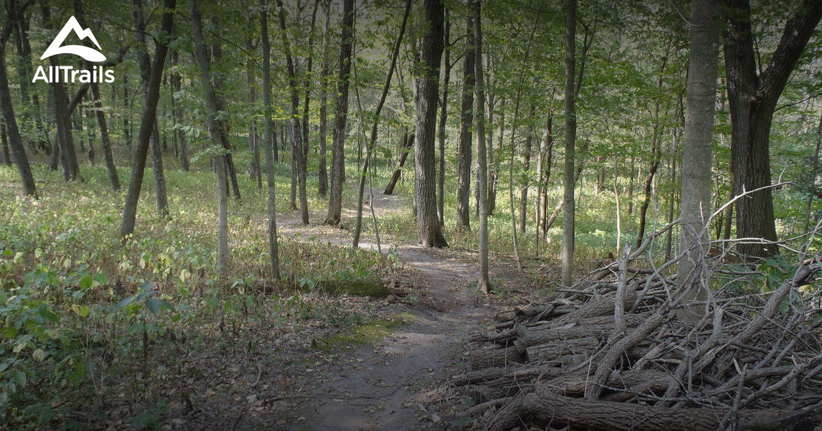 Best hikes and trails in Ingawanis Woodlands | AllTrails