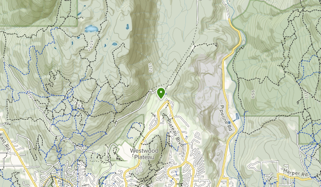 Best Trails in Coquitlam Watershed - British Columbia, Canada | AllTrails