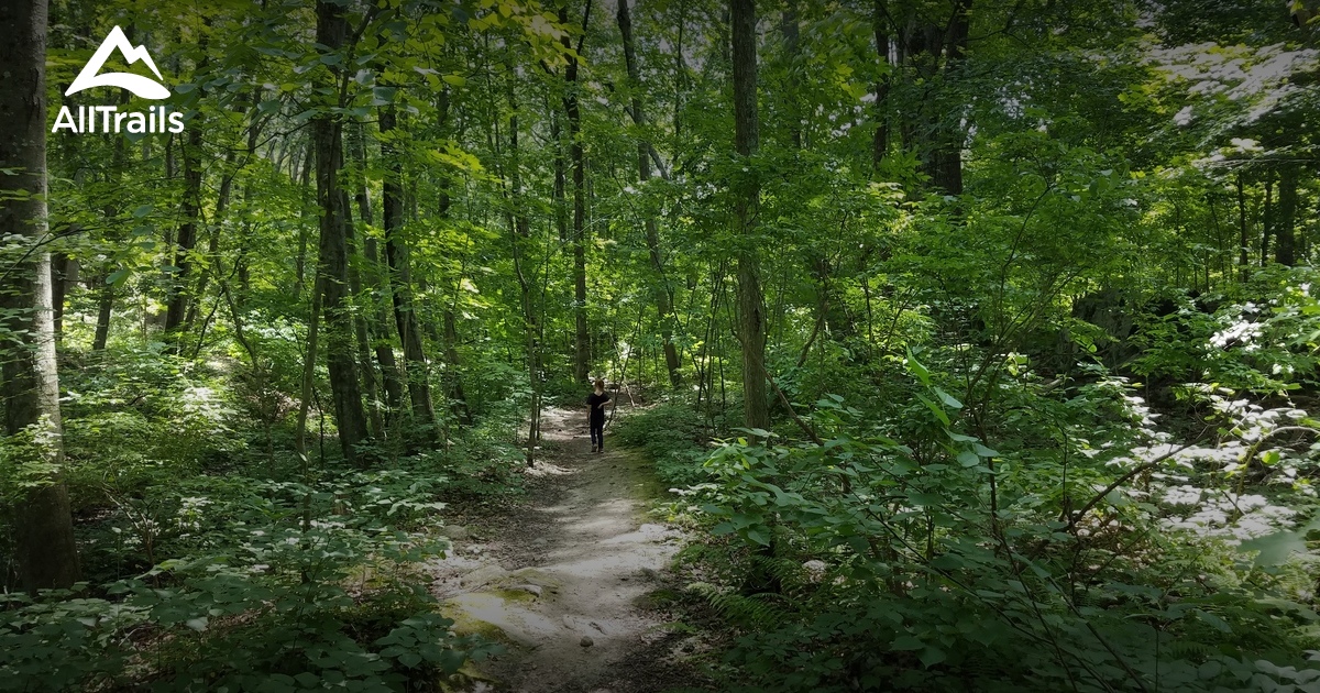 Die Besten Kinderfreundlichen Routen in Lime Rock Nature Preserve ...