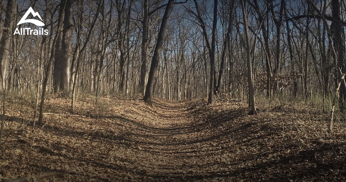 Best hikes and trails in Lake Red Rock | AllTrails