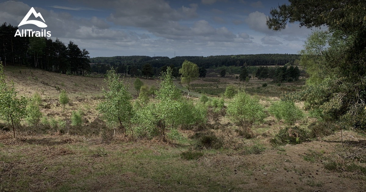 Best Trails in Crowthorne Wood - Berkshire, England | AllTrails