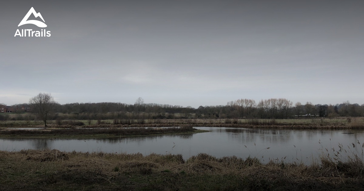 I migliori sentieri facili in Stony Stratford Nature Preserve | AllTrails