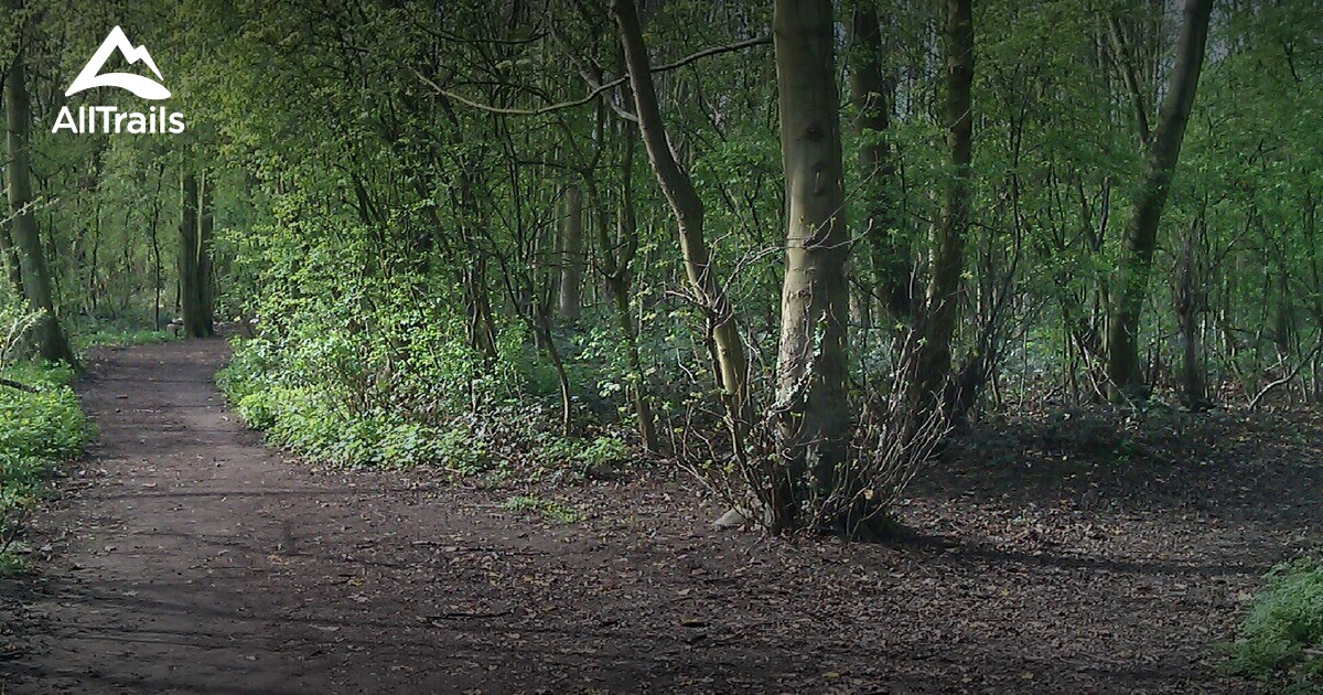 Best hikes and trails in Colwick Country Park | AllTrails