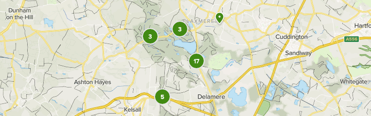 Best 10 Trails in Delamere Forest | AllTrails