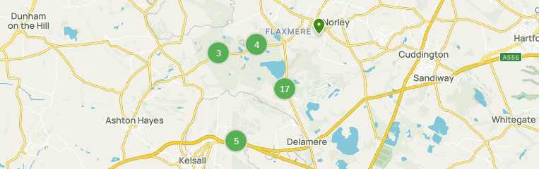 De 10 beste routes in Delamere Forest voor 2023 | AllTrails
