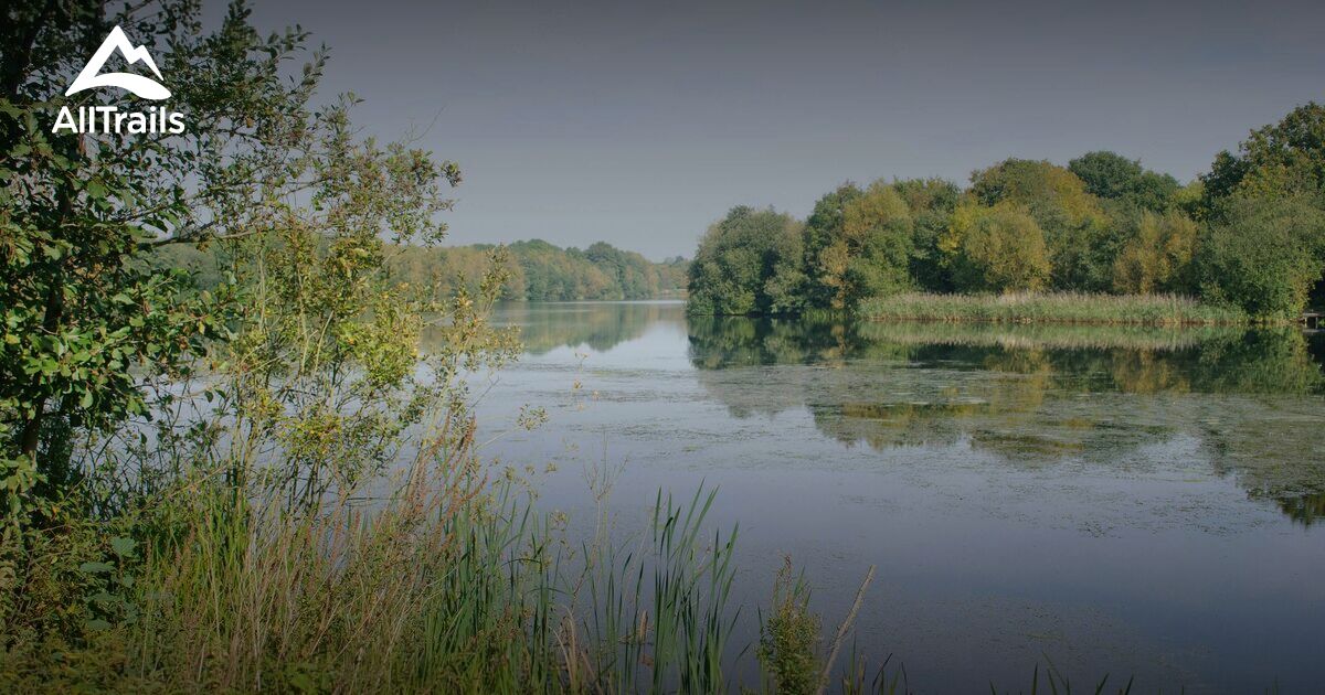 Best mountain biking trails in Dinton Pastures County Park | AllTrails