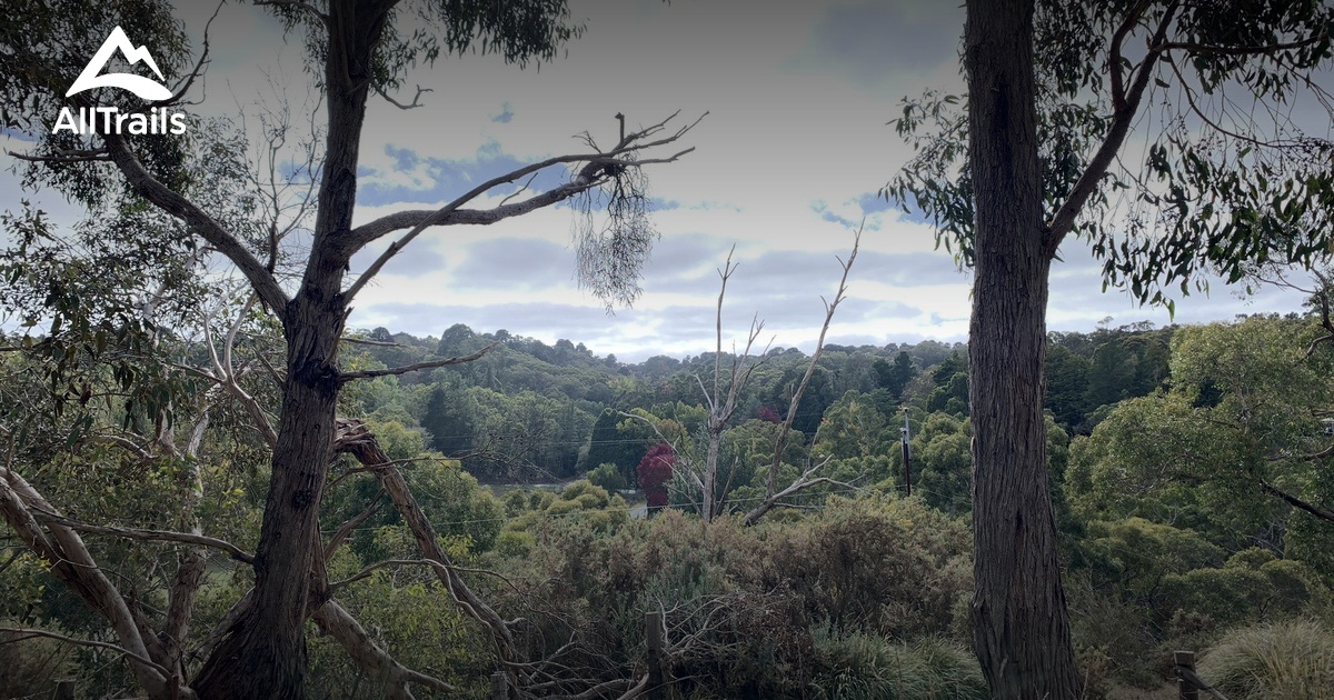 Best hikes and trails in Mylor Conservation Park | AllTrails