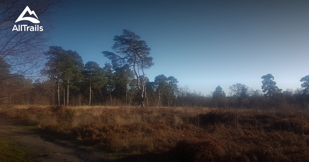 I migliori sentieri facili in Chatley Heath | AllTrails