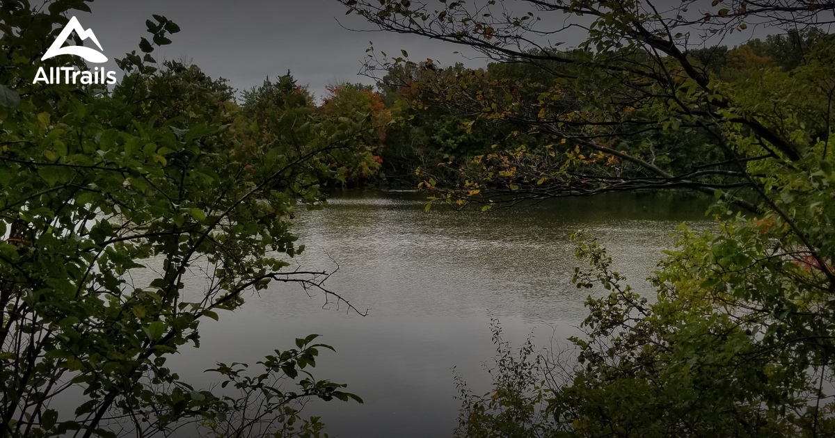 Best Trails in Hines Parkway - Michigan | AllTrails