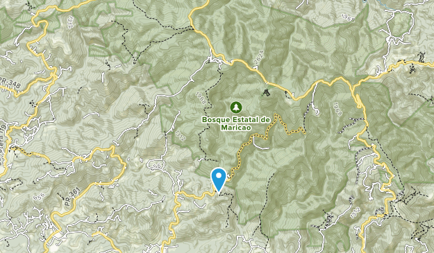 Best Trails in Maricao State Forest - West Region, Puerto Rico | AllTrails