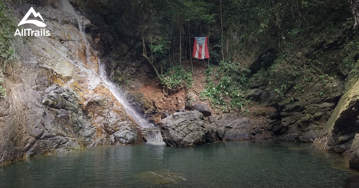 Best hikes and trails in Maricao State Forest | AllTrails