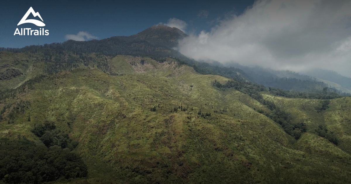 Best Trails in Taman Hutan Raya (Tahura) R. Suryo - East Java ...