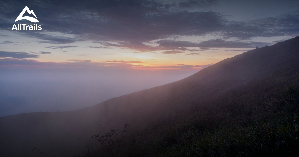 Perhutani Trawas: de beste routes om te wandelen | AllTrails