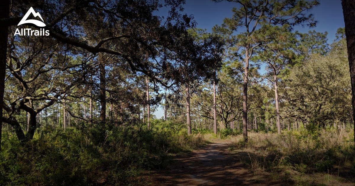 Best Trails in Langan Park - Alabama | AllTrails