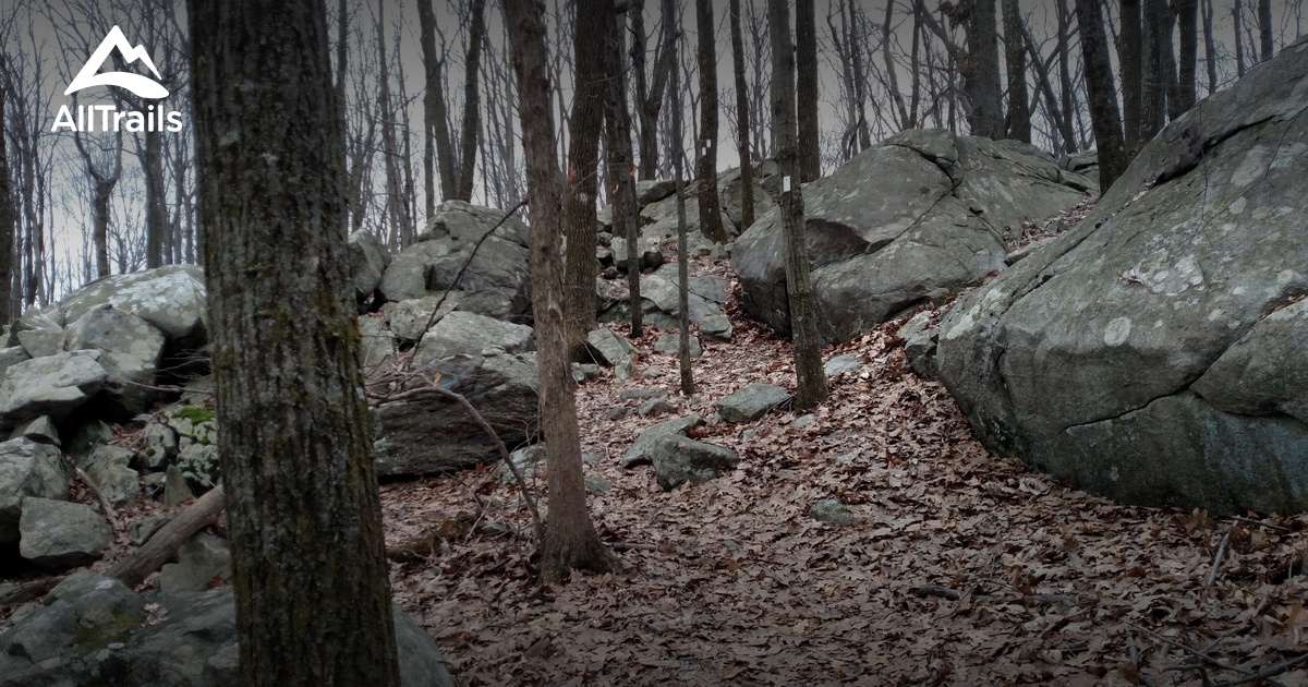 Best hikes and trails in Mountain Way Park | AllTrails