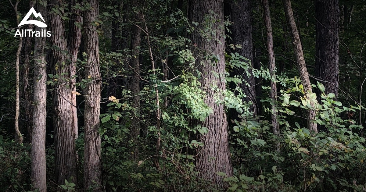 Best hikes and trails in Core Arboretum | AllTrails