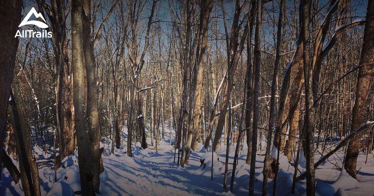 Best hikes and trails in Isinglass River Conservation Reserve | AllTrails