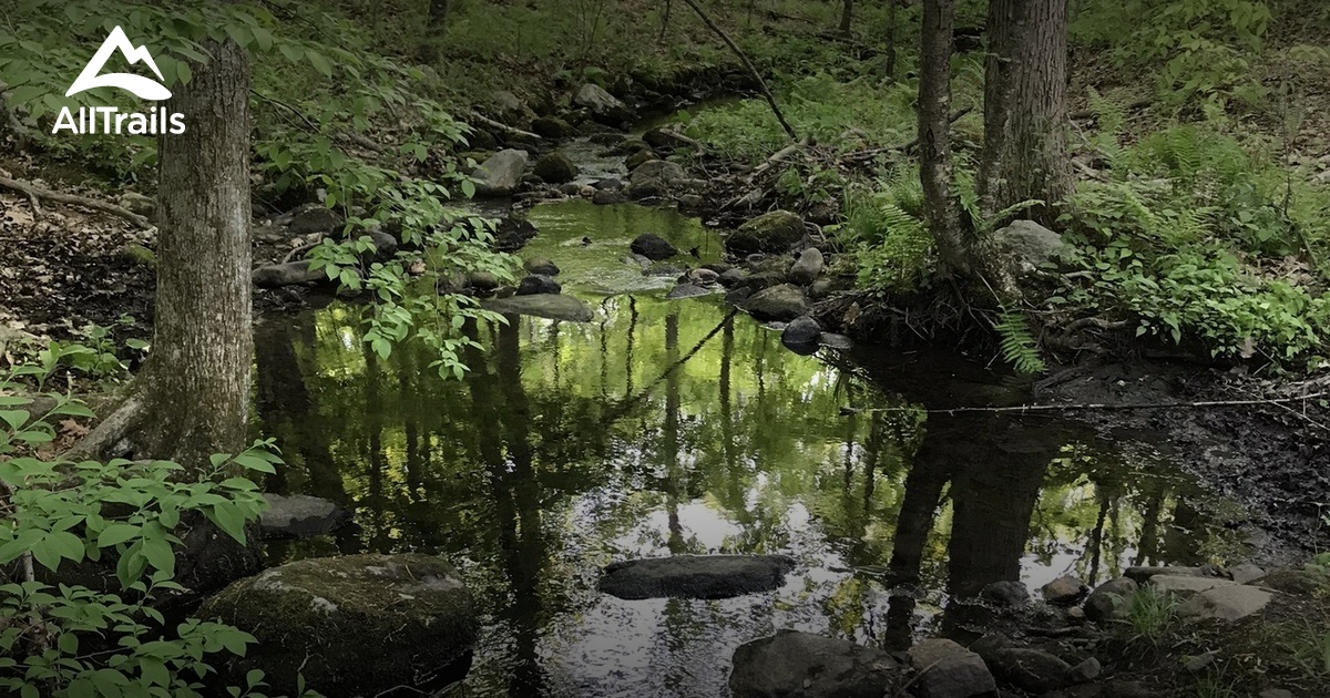 Best hikes and trails in Brunot Preserve | AllTrails