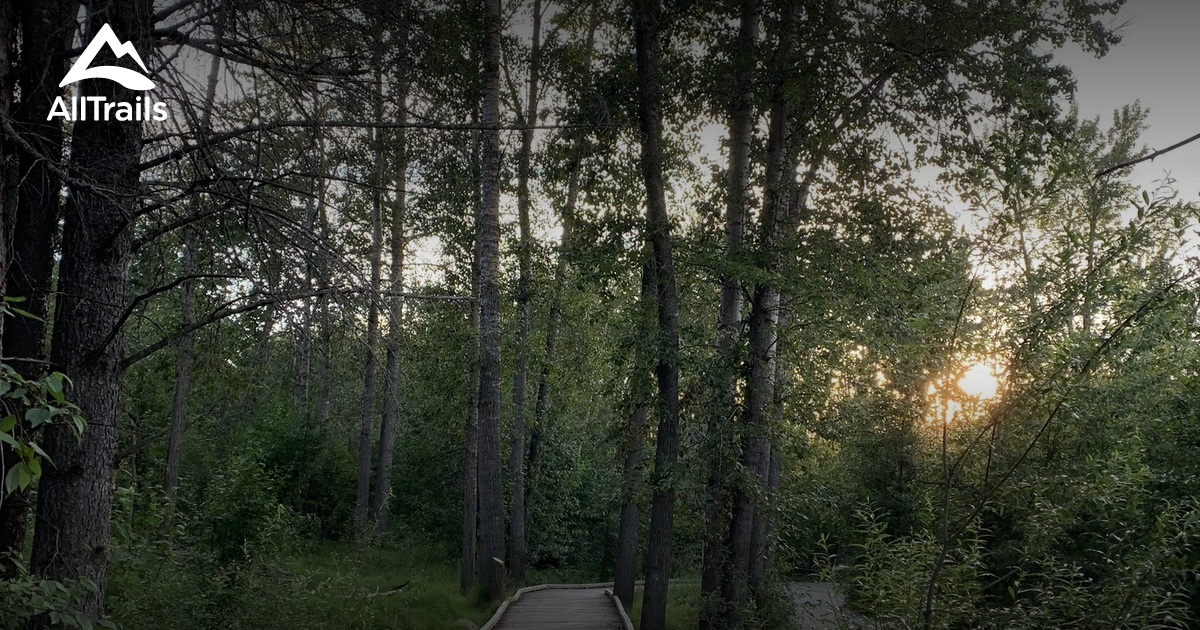 Best forest trails in Devon Voyageur Park | AllTrails