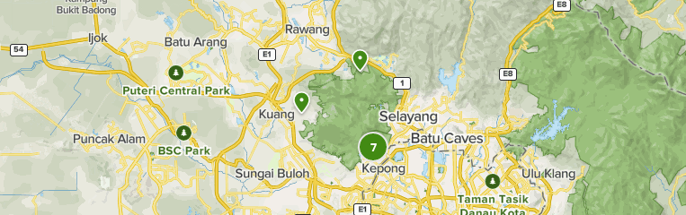 Best Trails in Bukit Lagong Forest Reserve | AllTrails