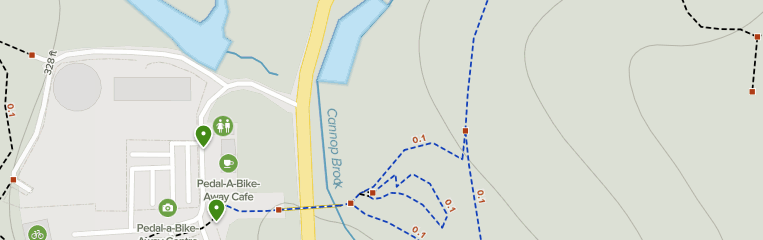 Best Trails in Forest of Dean - Gloucestershire, England | AllTrails