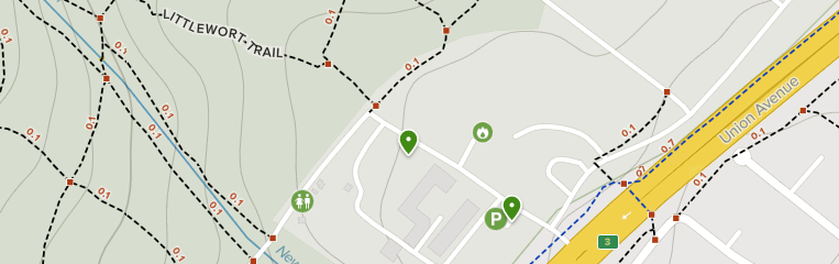 Best trails in Newlands Forest, Western Cape, South Africa | AllTrails