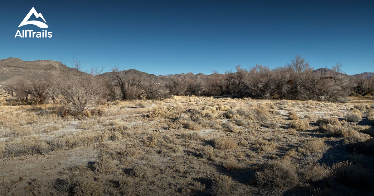 Best hikes and trails in Ash Meadows National Wildlife Refuge | AllTrails