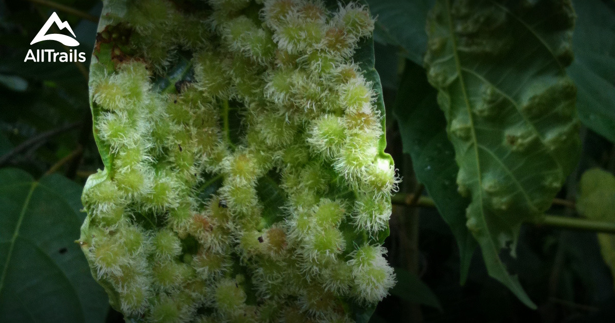 Best hikes and trails in Admiralty Park | AllTrails