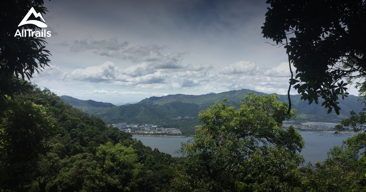 Best hikes and trails in Tai Po Kau Nature Reserve | AllTrails