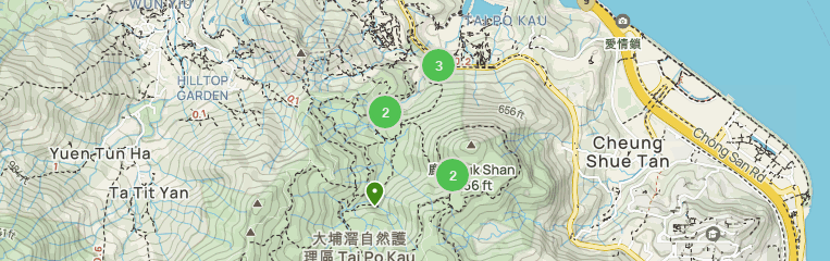 Le migliori escursioni e sentieri in Tai Po Kau Nature Reserve | AllTrails