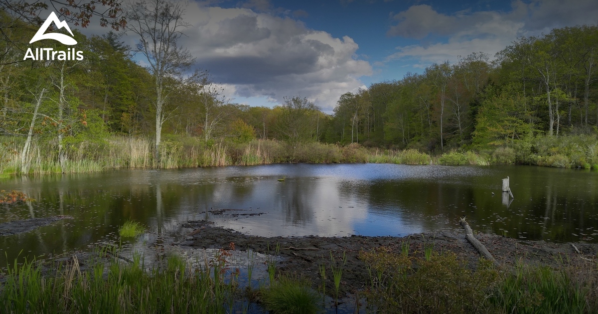 Best hikes and trails in Sessions Woods Wildlife Management Area ...