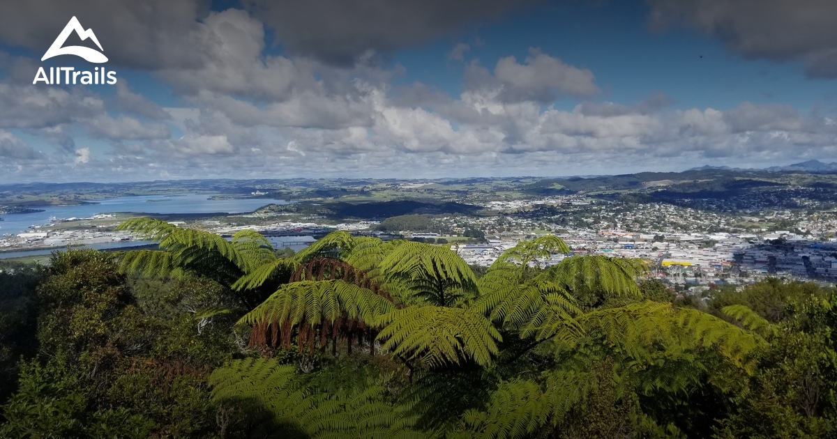 Best trails in Mount Parihaka Scenic Reserve, Northland, New Zealand ...