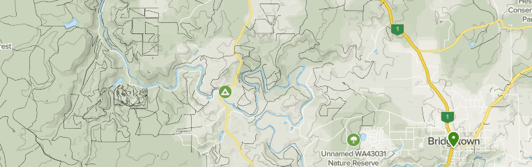 Best Hikes and Trails in Ellis Creek State Forest | AllTrails