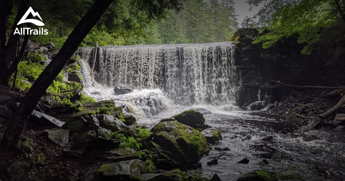 Best Hikes and Trails in Buffam Falls Conservation Area | AllTrails