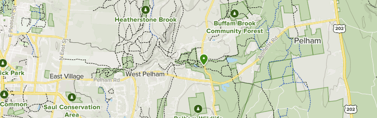 Best Hikes and Trails in Buffam Falls Conservation Area | AllTrails