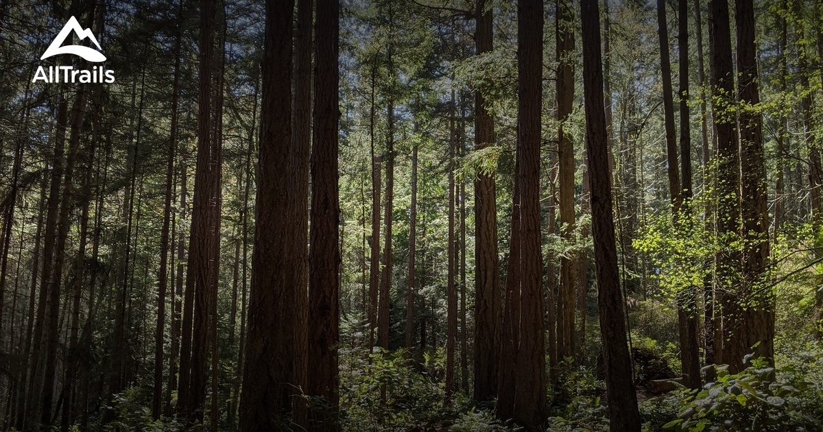 Best hikes and trails in Lazo Marsh-North East Comox Wildlife ...