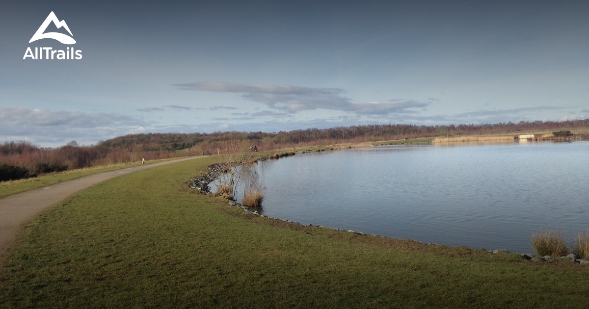 Best hikes and trails in Shellbrook Wood | AllTrails