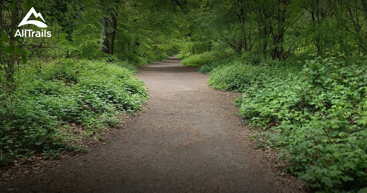 Best hikes and trails in Banstead Wood | AllTrails