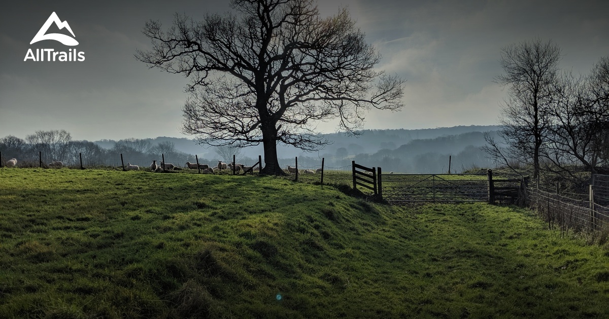 Best Trails in High Weald Area of Outstanding Natural Beauty - Surrey ...