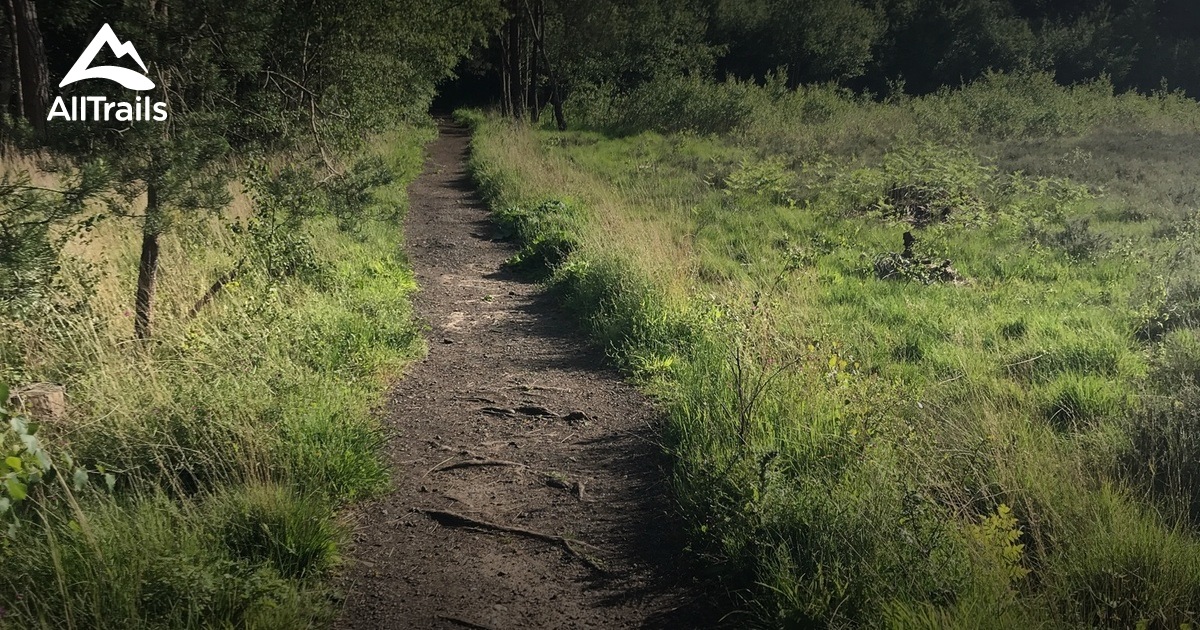 Best hikes and trails in Whitmoor Common | AllTrails