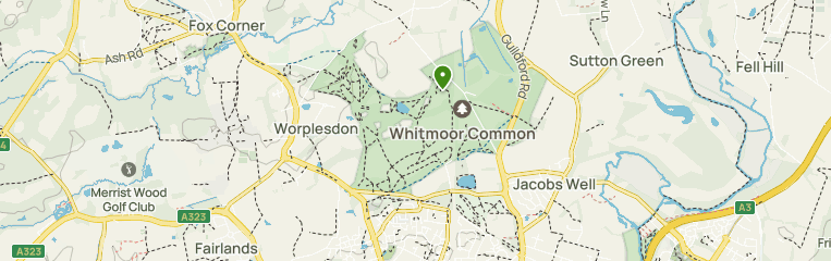 Best Hikes and Trails in Whitmoor Common | AllTrails