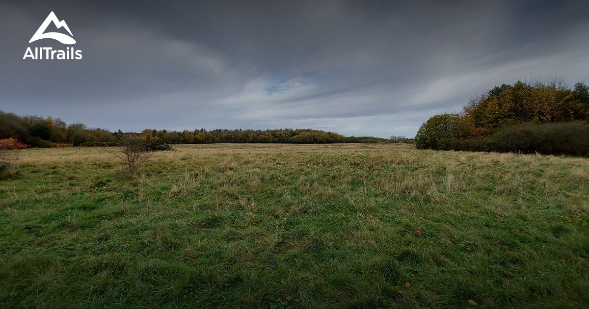 Best hikes and trails in Broxtowe Country Park | AllTrails