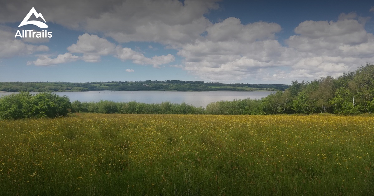 Best hikes and trails in Roadford Lake Country Park | AllTrails