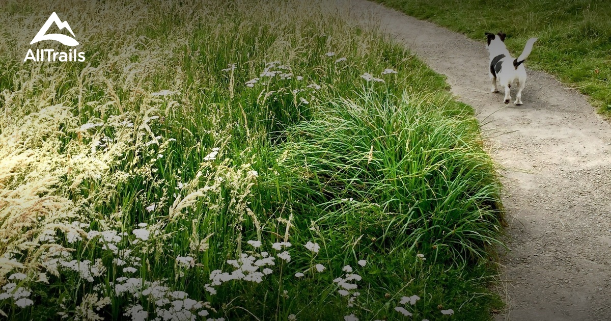 Best views trails in Wycoller Country Park | AllTrails