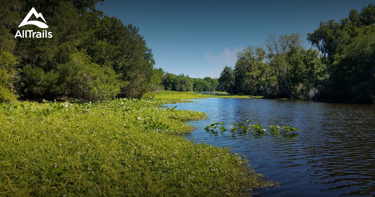 Best Trails in Lake George State Forest - Florida | AllTrails