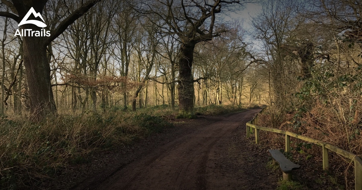10 Best hikes and trails in Sherwood Forest National Nature Reserve ...