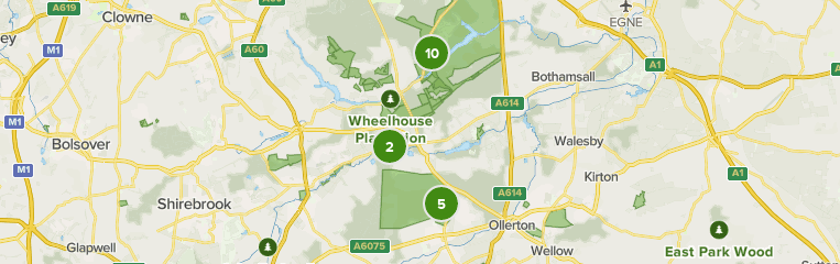 Best Trails in Sherwood Forest NNR | AllTrails