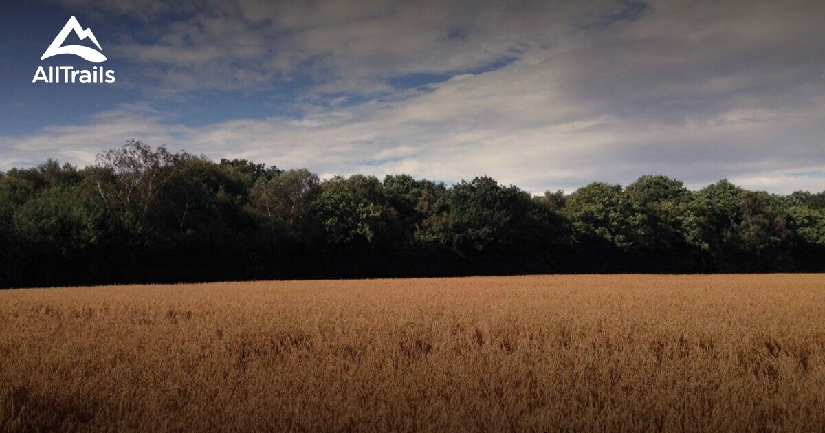 Best views trails in Kingsbury Water Park | AllTrails